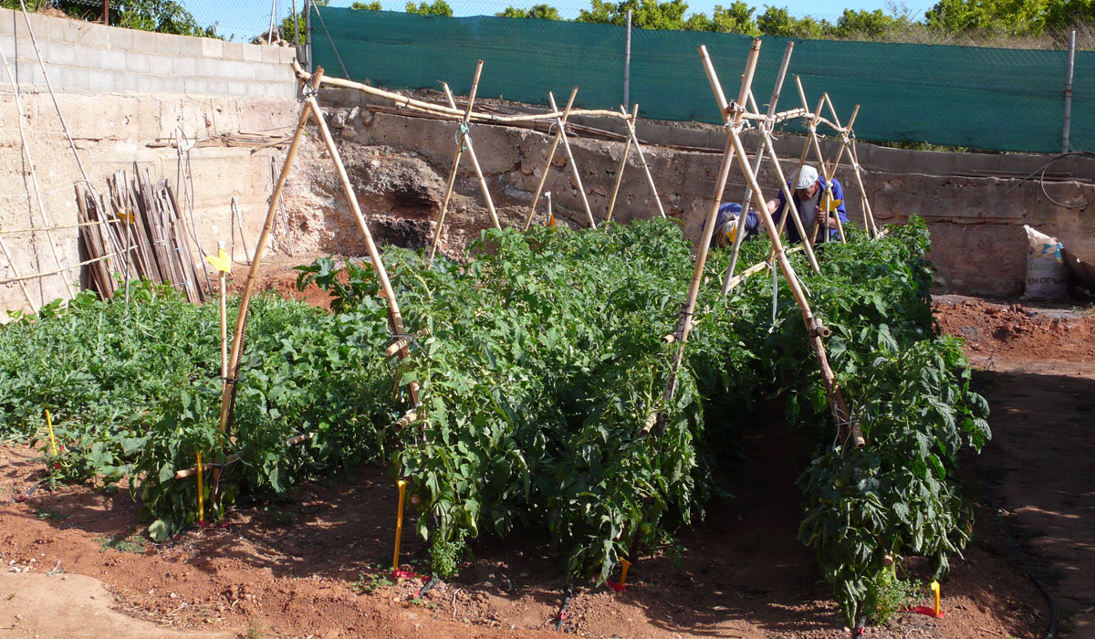 Sistemas De Huerto Elevado Bancales Elevados – Jardindeacero.com